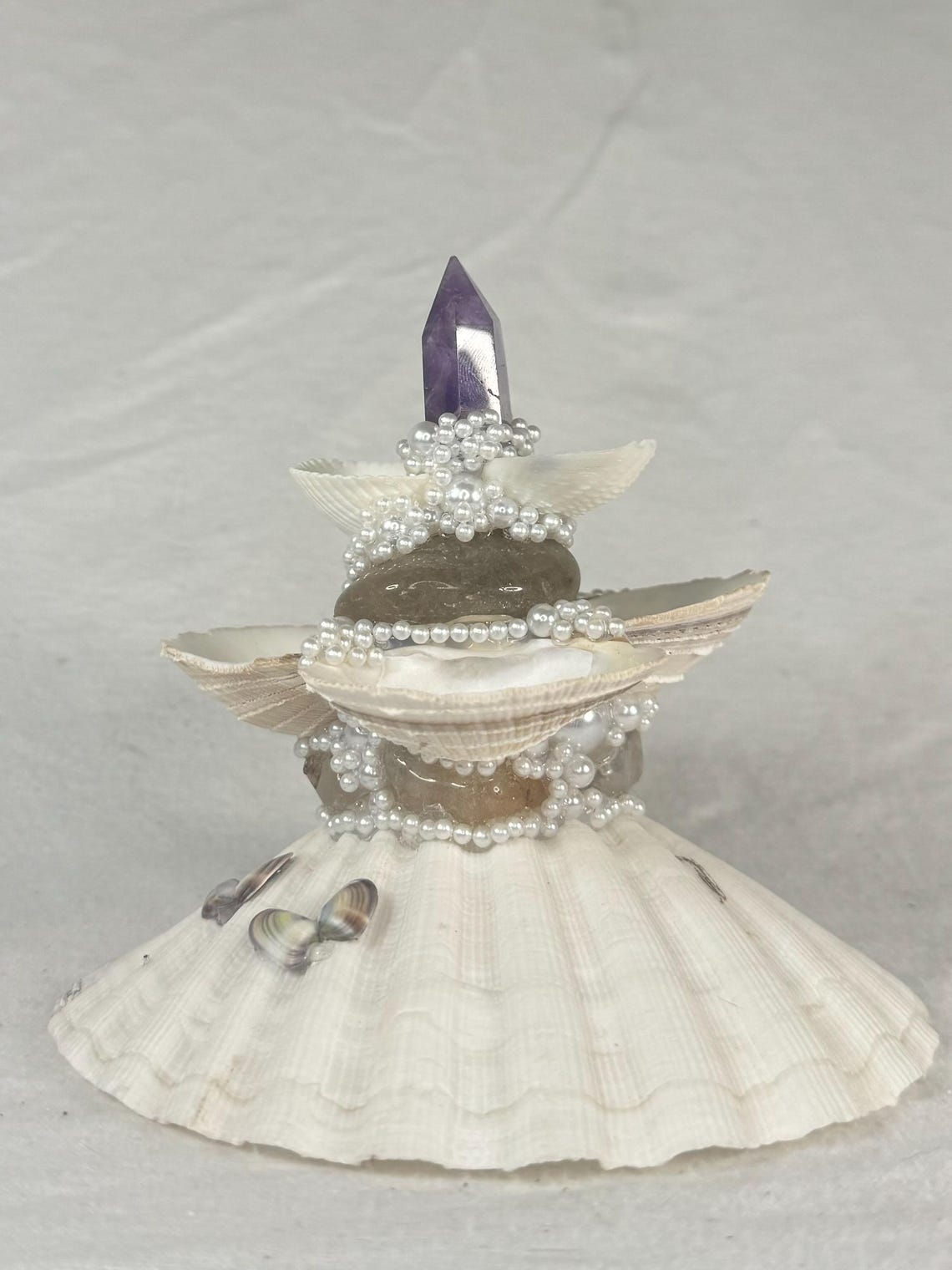 Seashell Jewelry Display / Seashell Holder - Etsy