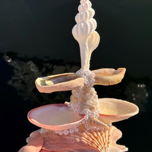 Handmade Seashell Jewelry Display - Etsy