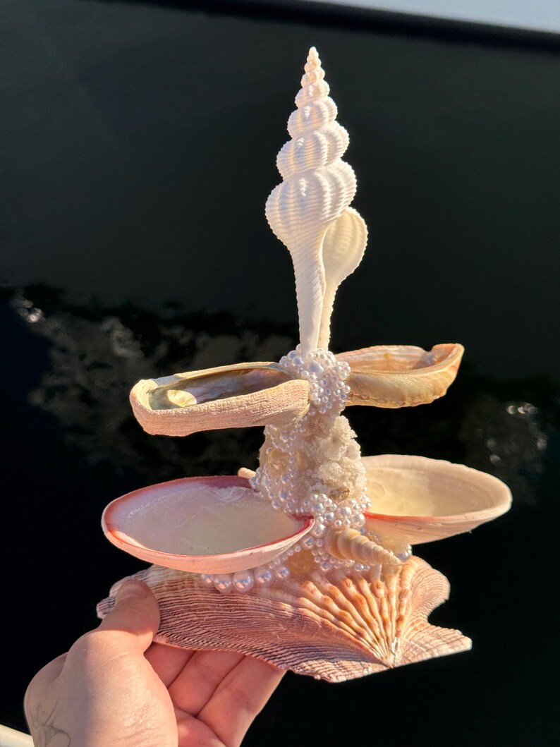 Handmade Seashell Jewelry Display - Etsy