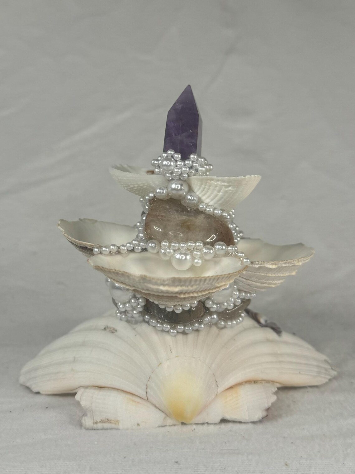 Seashell Jewelry Display / Seashell Holder - Etsy
