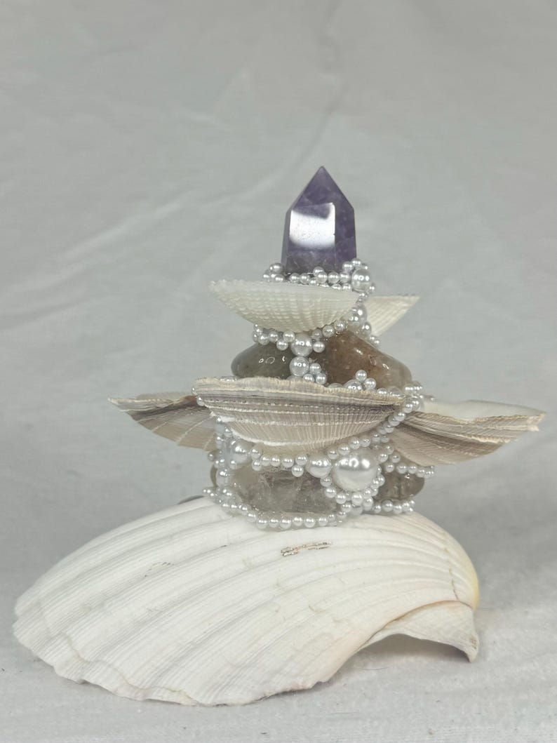 Seashell Jewelry Display / Seashell Holder - Etsy