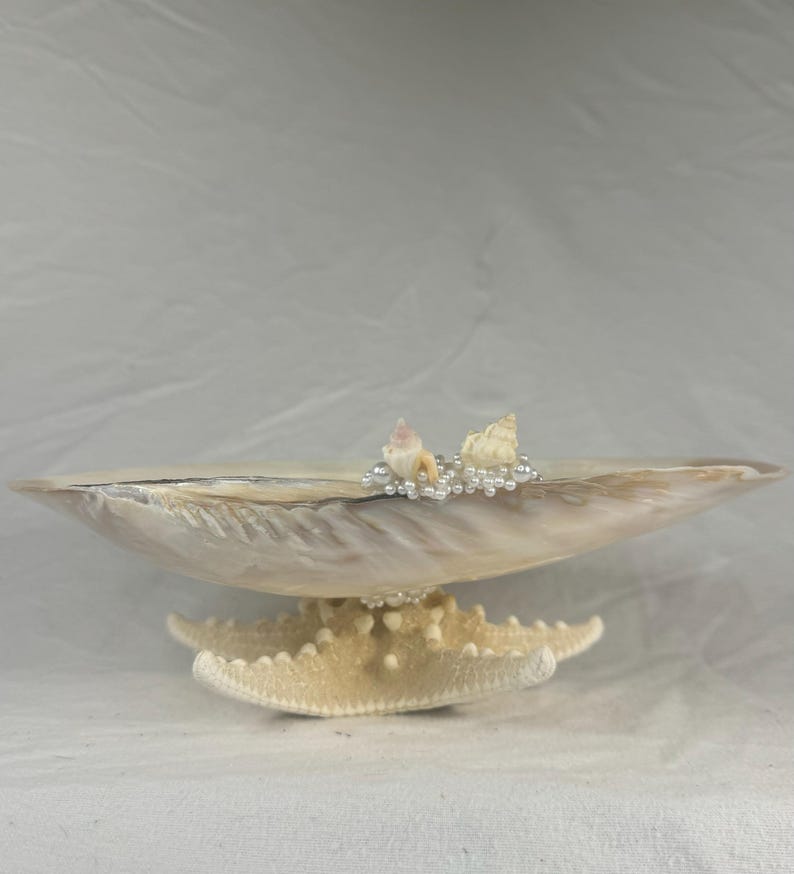 Seashell Holder / Seashell Decor / Seashell Centerpiece - Etsy