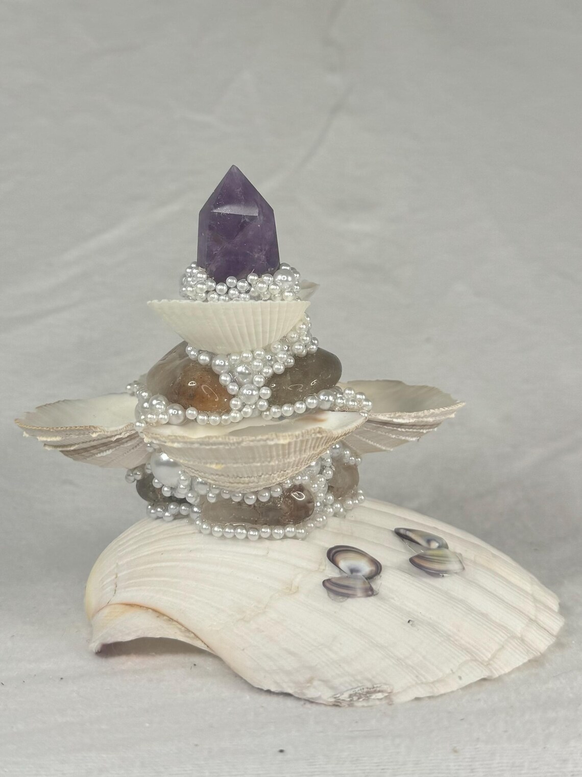 Seashell Jewelry Display / Seashell Holder - Etsy