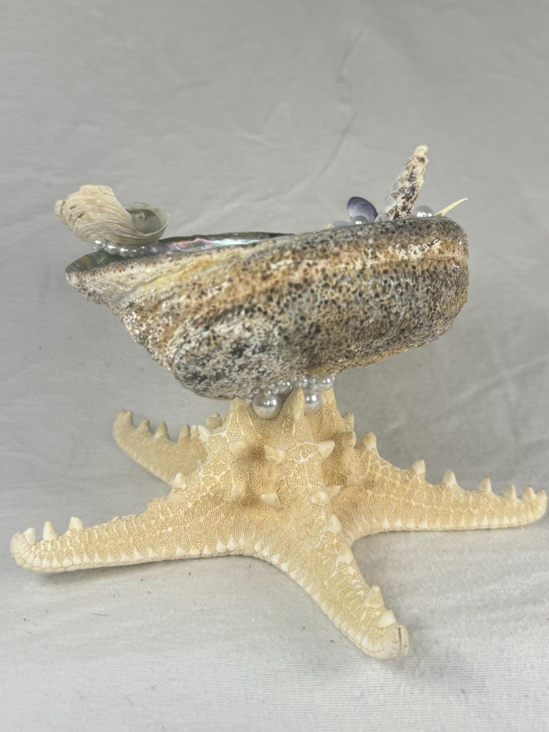 Seaweed Ashtray / Seashell Ashtray / Seashell Centerpiece - Etsy