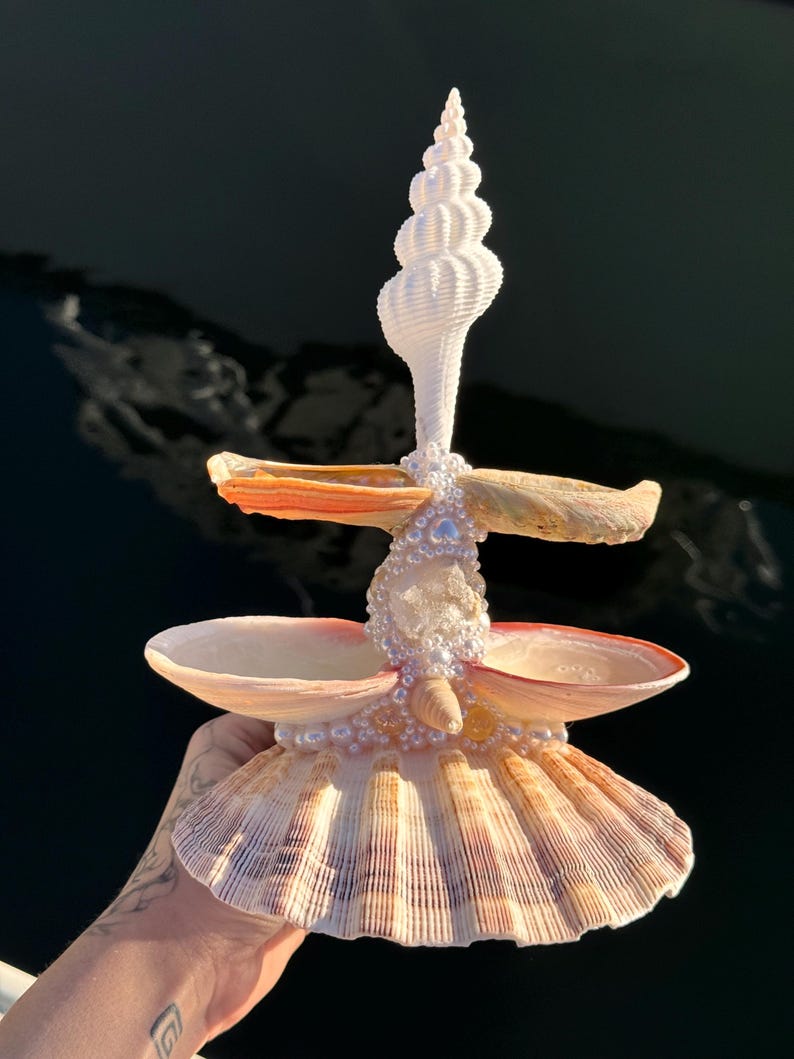 Handmade Seashell Jewelry Display - Etsy