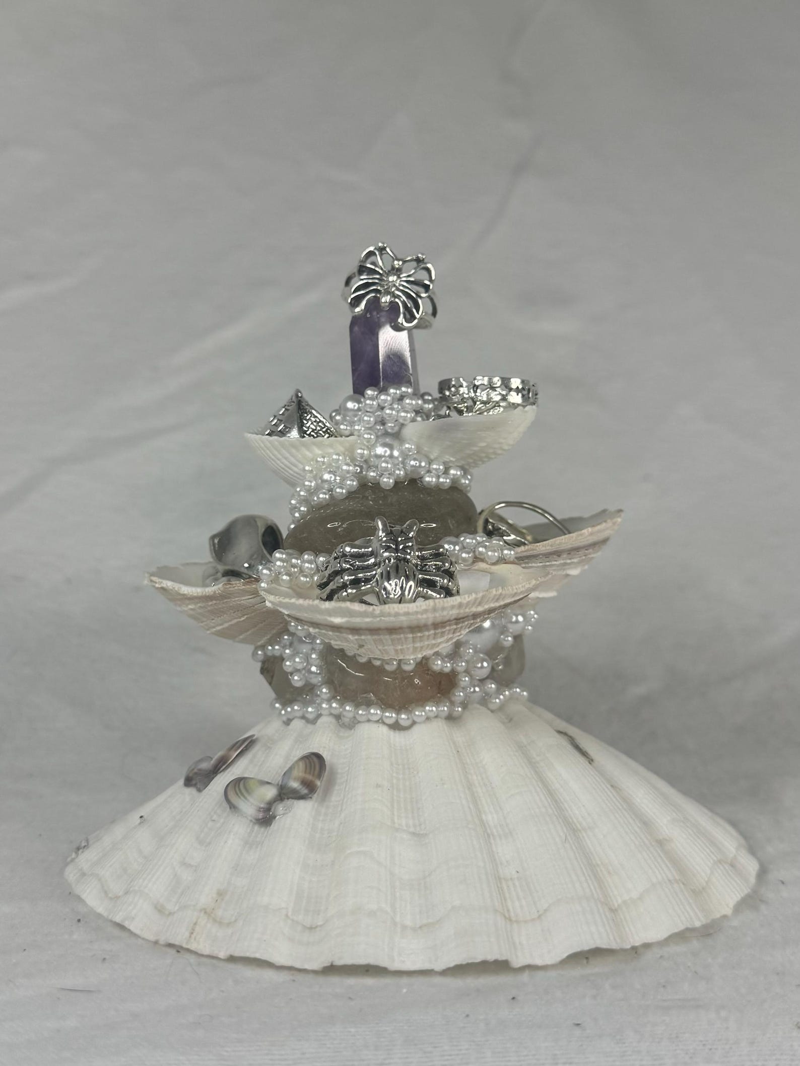 Seashell Jewelry Display / Seashell Holder - Etsy