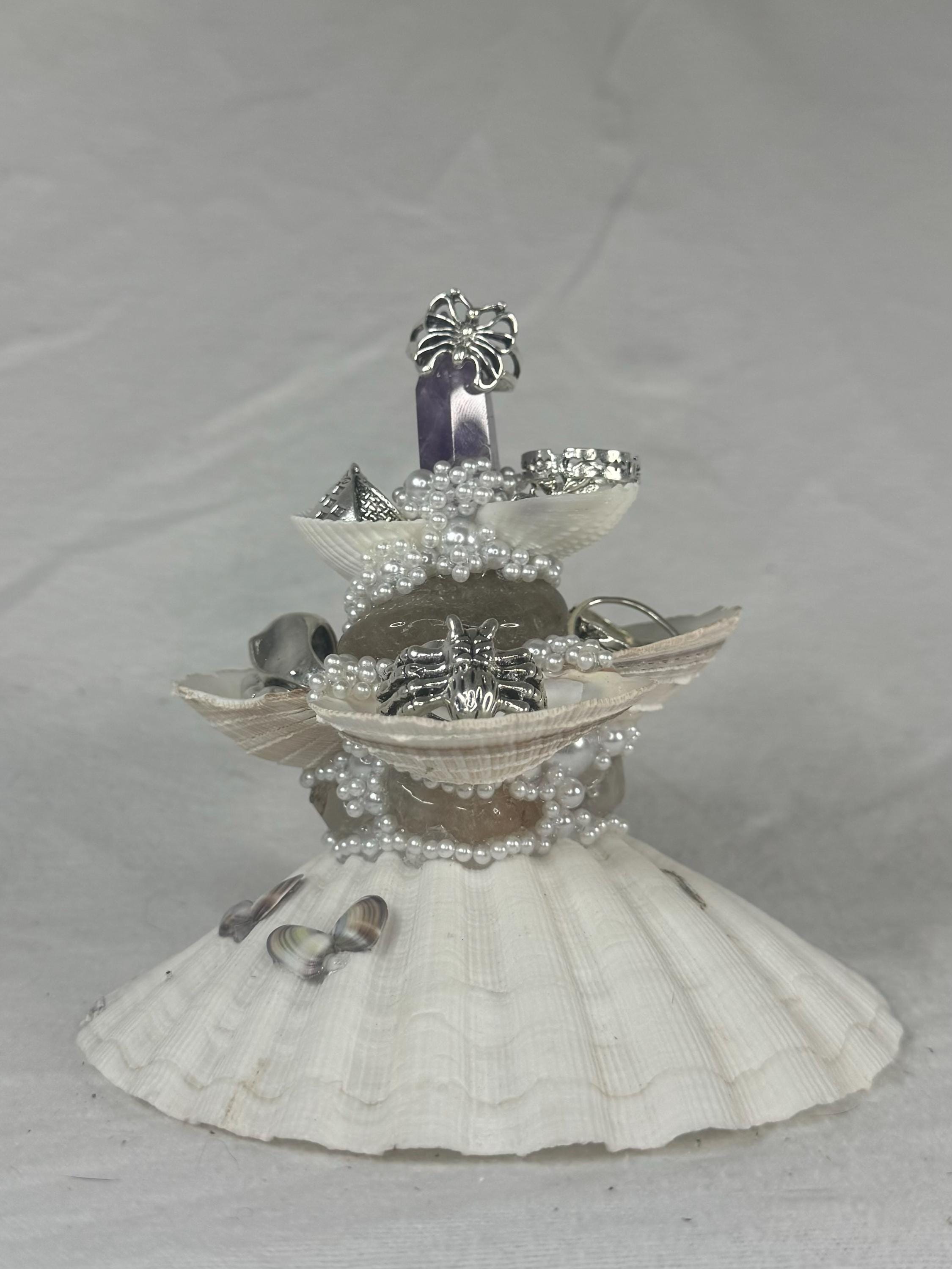Seashell Jewelry Display / Seashell Holder - Etsy