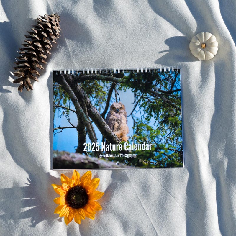 Nature Calendar - Etsy