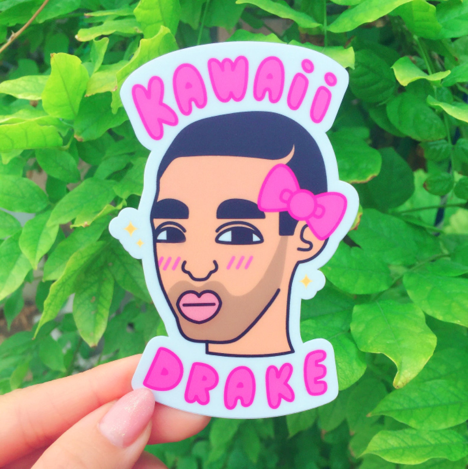 Kawaii Drake Sticker rapper singers rap champagnepapi | Etsy
