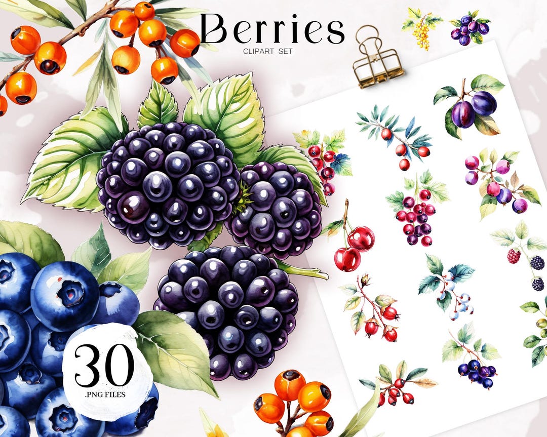 Watercolor Berries Clipart Set, Hand Painted Berry PNG, Digital ...