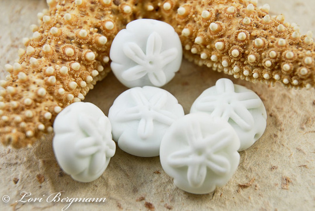 Sand Dollar Handmade Lampwork Bead, SINGLE Soft White Beach Glass ...
