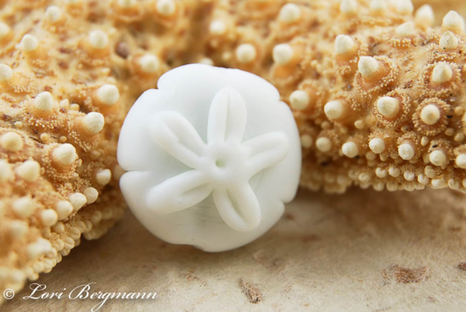 Sand Dollar Handmade Lampwork Bead, SINGLE Soft White Beach Glass ...