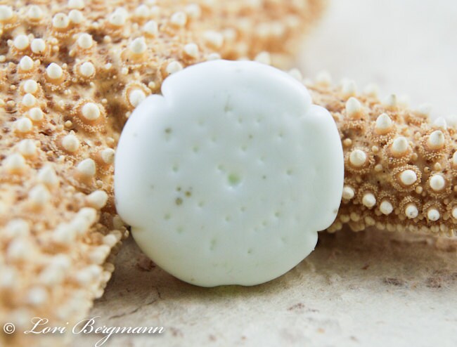 Large Sand Dollar Focal, Handmade Lampwork Bead, Beach, Etched Cream ...