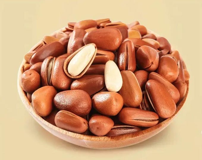 Original Flavor Open Pine Nuts Snacks, Pine Nuts Dry Fruit With Shell 7oz /200g - Etsy