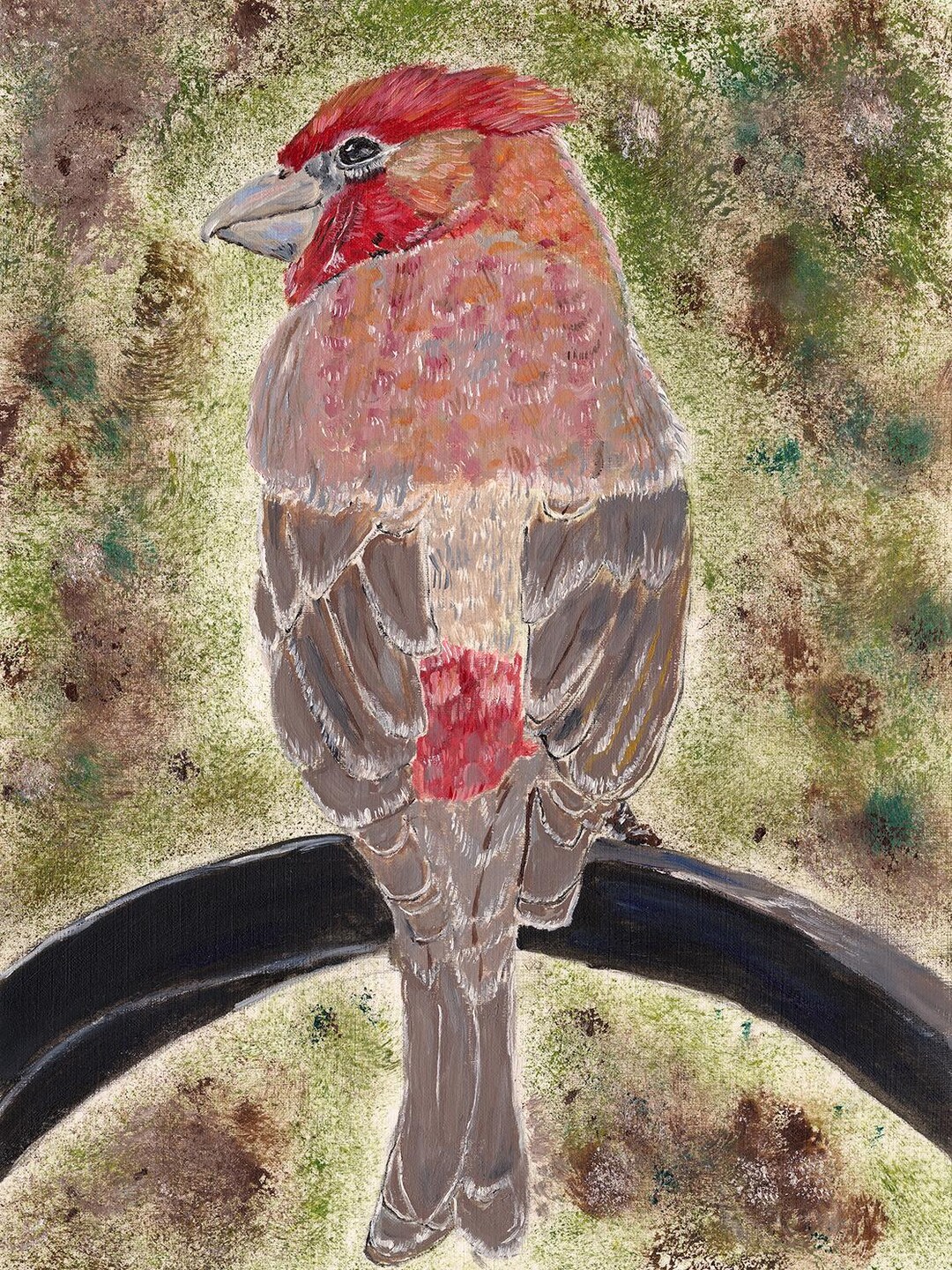 House Finch Portrait- PRINT of My Original Oil Painting, Art, Bird Art ...