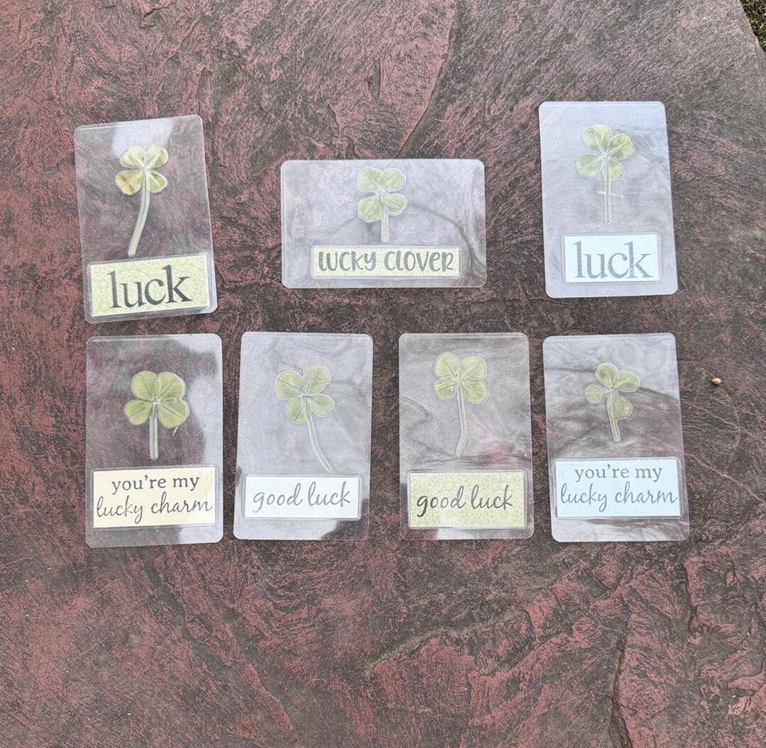 REAL 4 Leaf Clover Card - Etsy