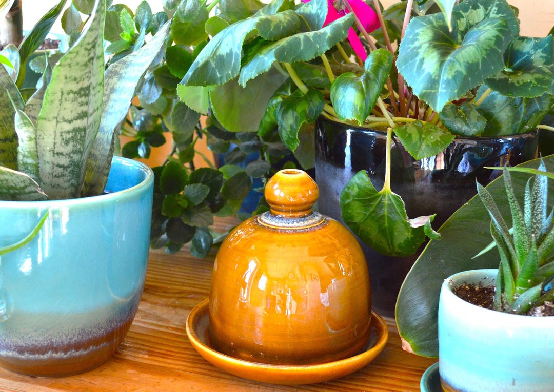 Pottery Watering Bell, Brown Rain Pot, Ceramic Thumb Pot, Clay Watering ...