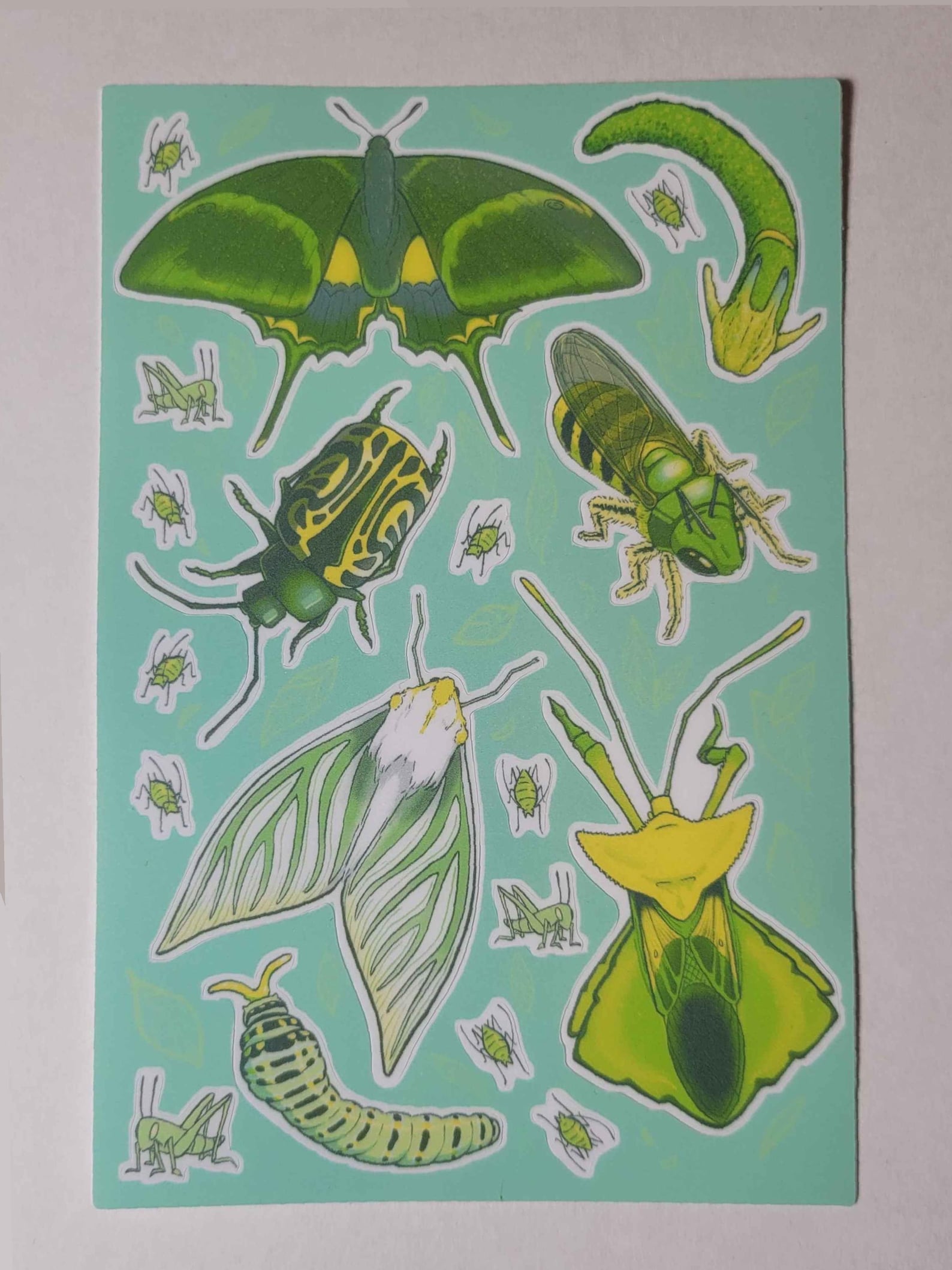 Green Bugs Sticker Sheet - Etsy