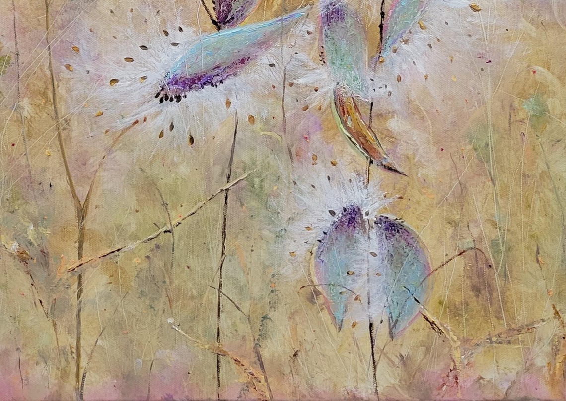 Original Oil Painting: Milkweed Pods on Canvas, 20x20 Nature Art - Etsy