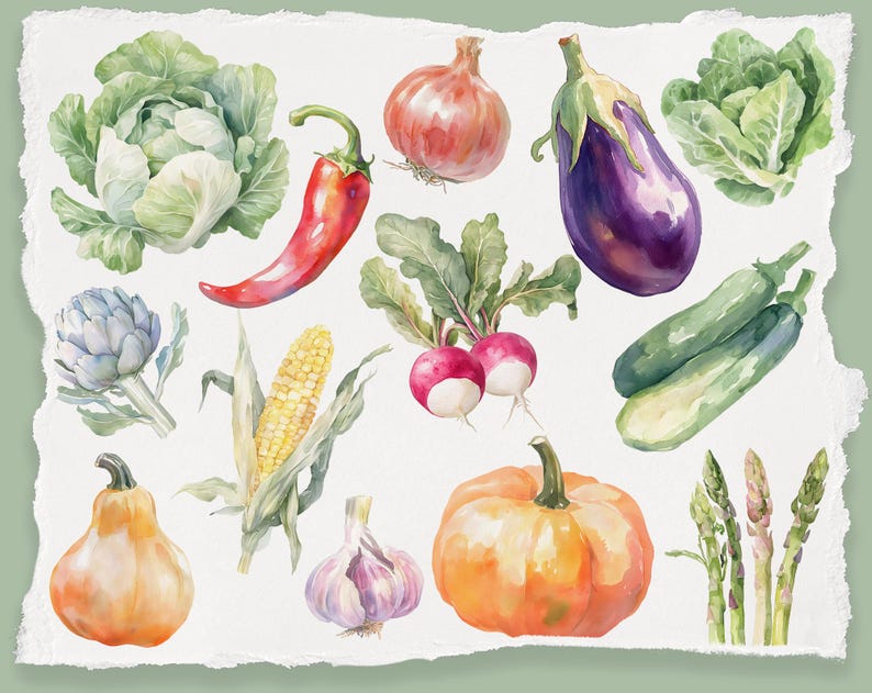 Watercolor Veggies PNG - Watercolor Fresh Vegetables Clipart - Food ...