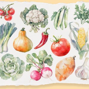Watercolor Veggies PNG - Watercolor Fresh Vegetables Clipart - Food ...