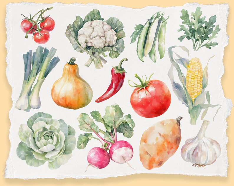 Watercolor Veggies PNG - Watercolor Fresh Vegetables Clipart - Food ...