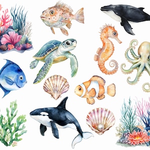 Ocean Animals Watercolor Clipart - Coral Reef Clipart - Watercolor ...