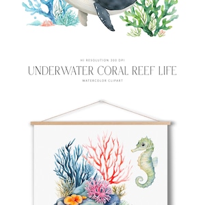 Ocean Animals Watercolor Clipart - Coral Reef Clipart - Watercolor ...