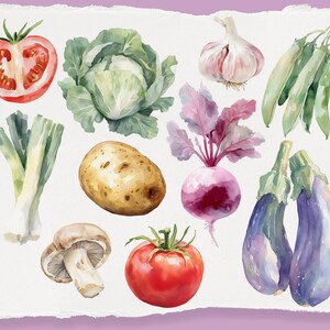 Watercolor Veggies PNG - Watercolor Fresh Vegetables Clipart - Food ...