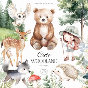 Watercolor Woodland Animals Clipart - Cute Woodland Baby Animal ...