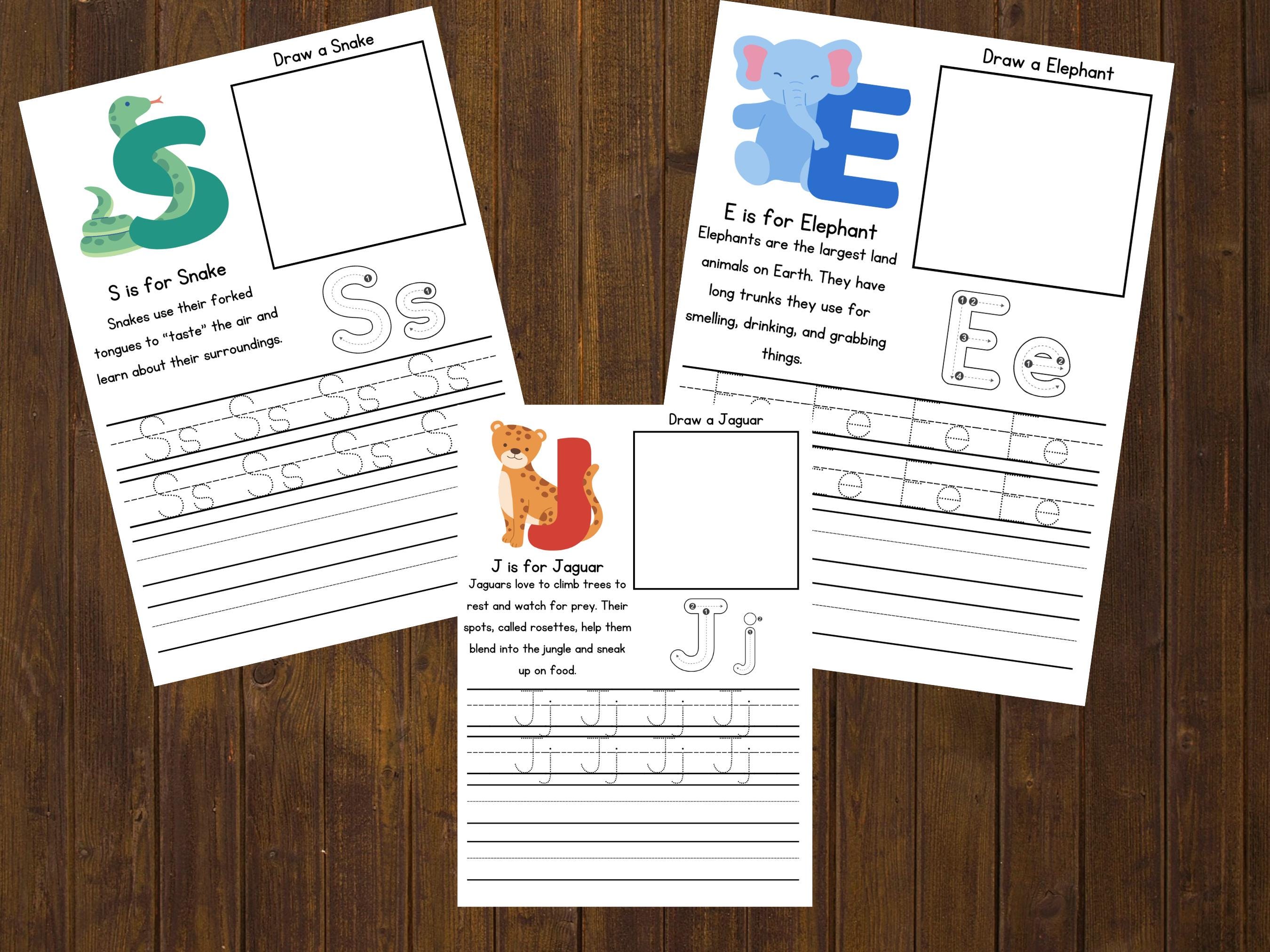 27 Printable Alphabet I Know My Letters Worksheets. Preschool ...