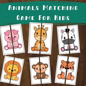 22 Animals Matching Game for Kids, Symmetry Puzzle, Match Picture Card ...