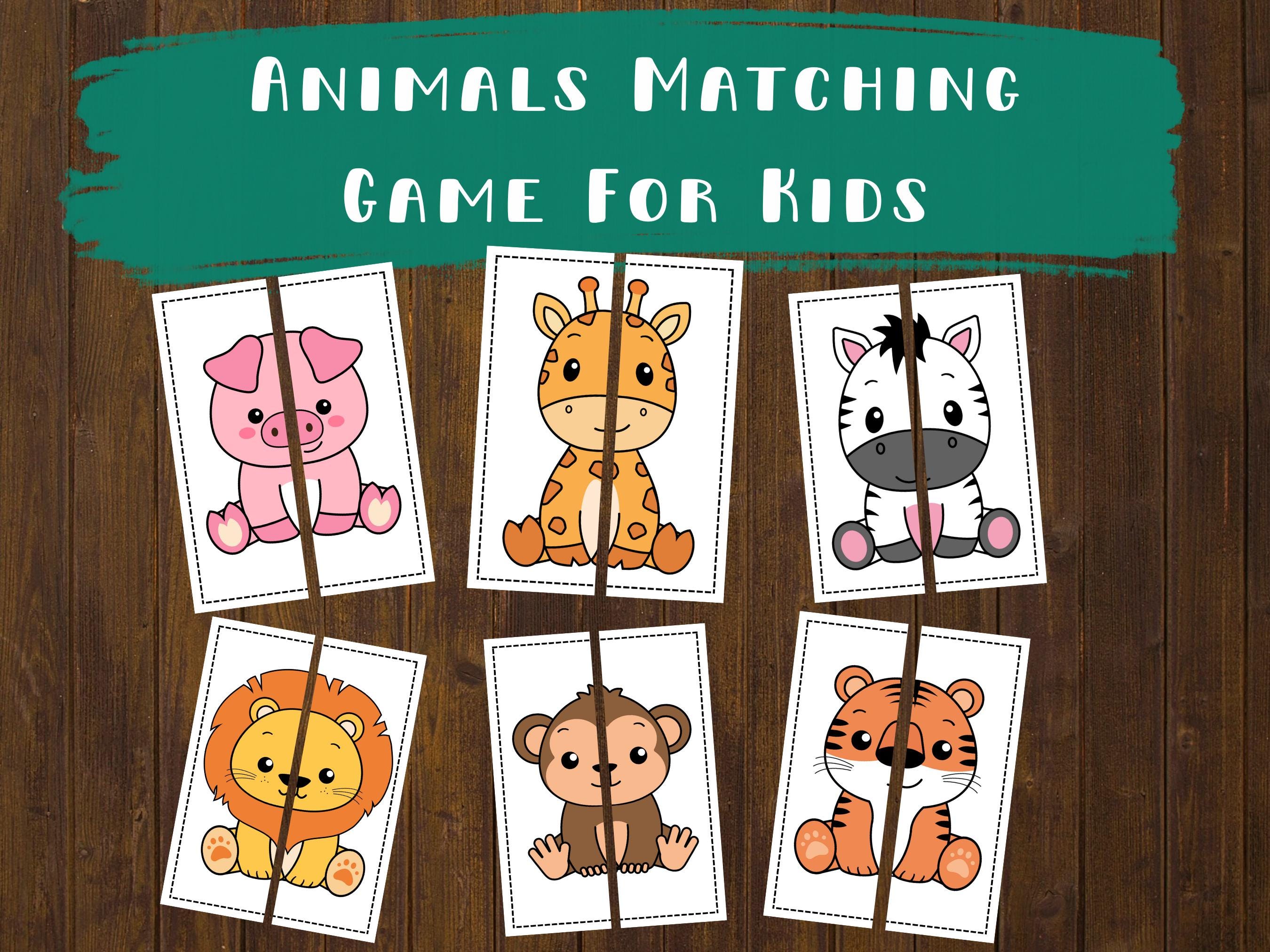 22 Animals Matching Game for Kids, Symmetry Puzzle, Match Picture Card ...