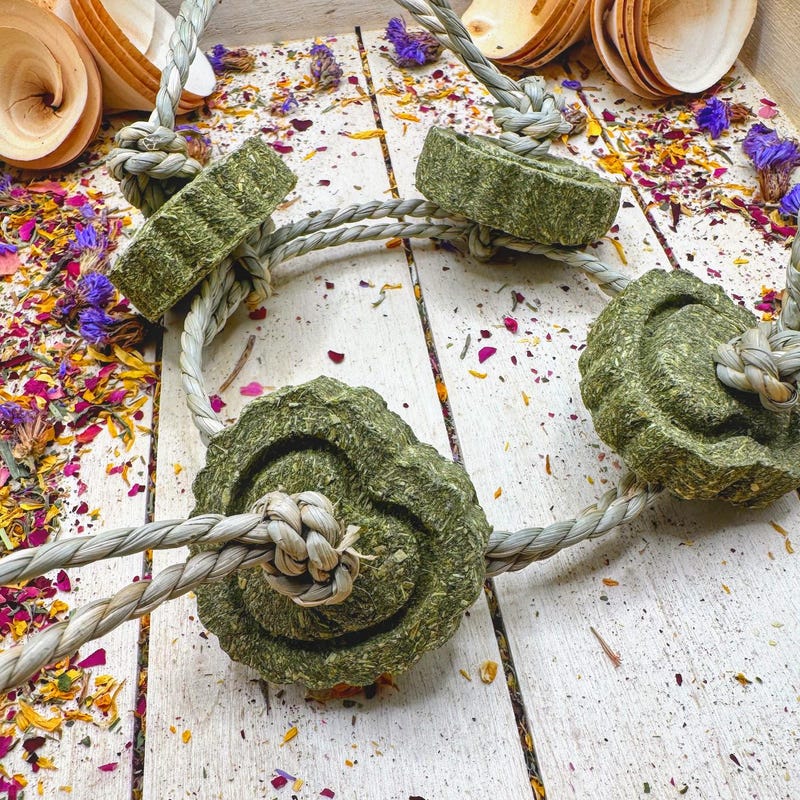 Rabbit Hanging Enrichment - Etsy