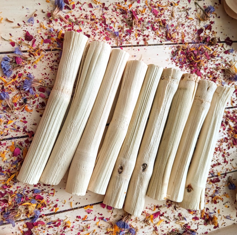 Bamboo Chew Sticks for Rabbits & Guinea Pigs, Natural Chew Treat ...