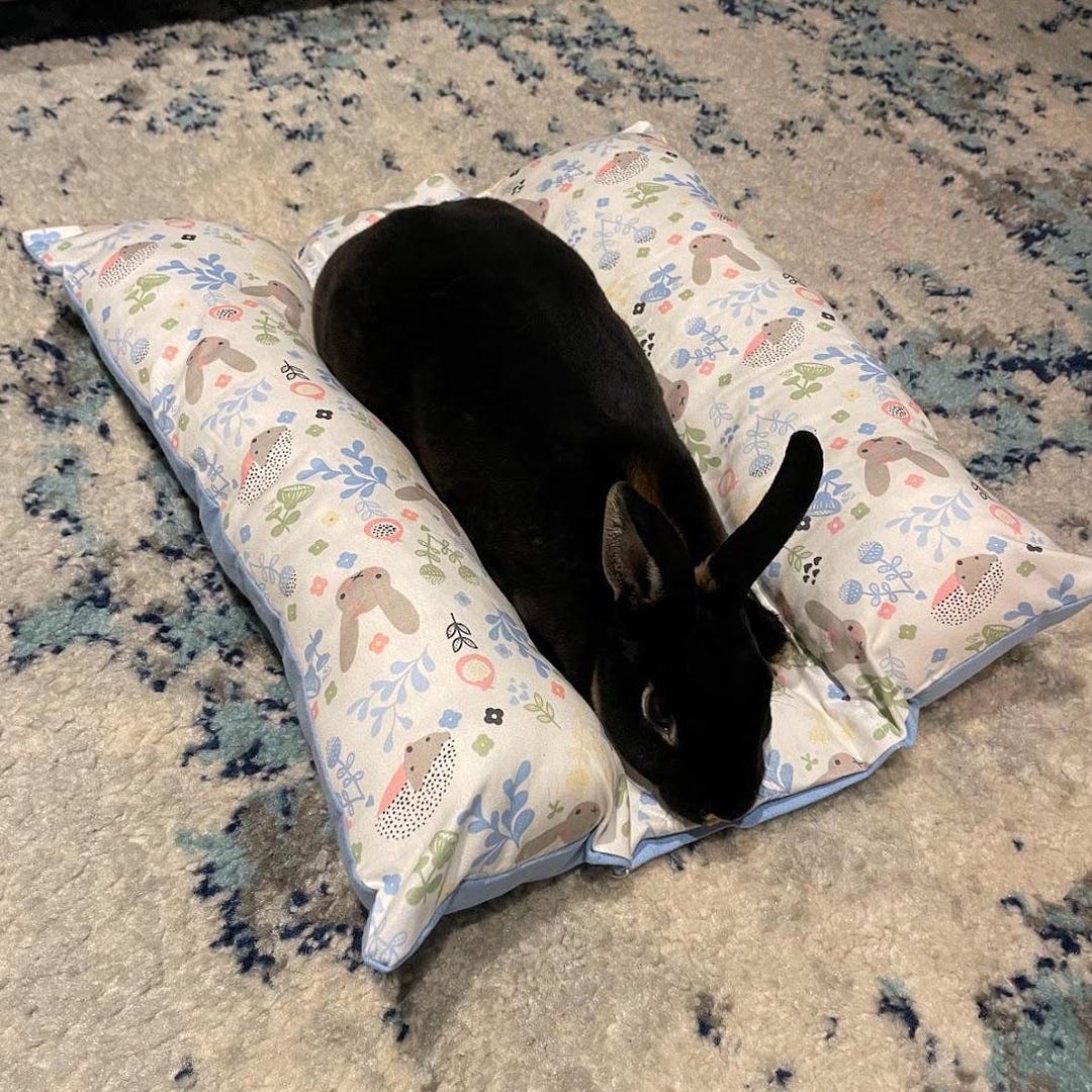Bunny Bed Lounger, Rabbit Cuddle Cushion, Small Animal Pillow - Etsy