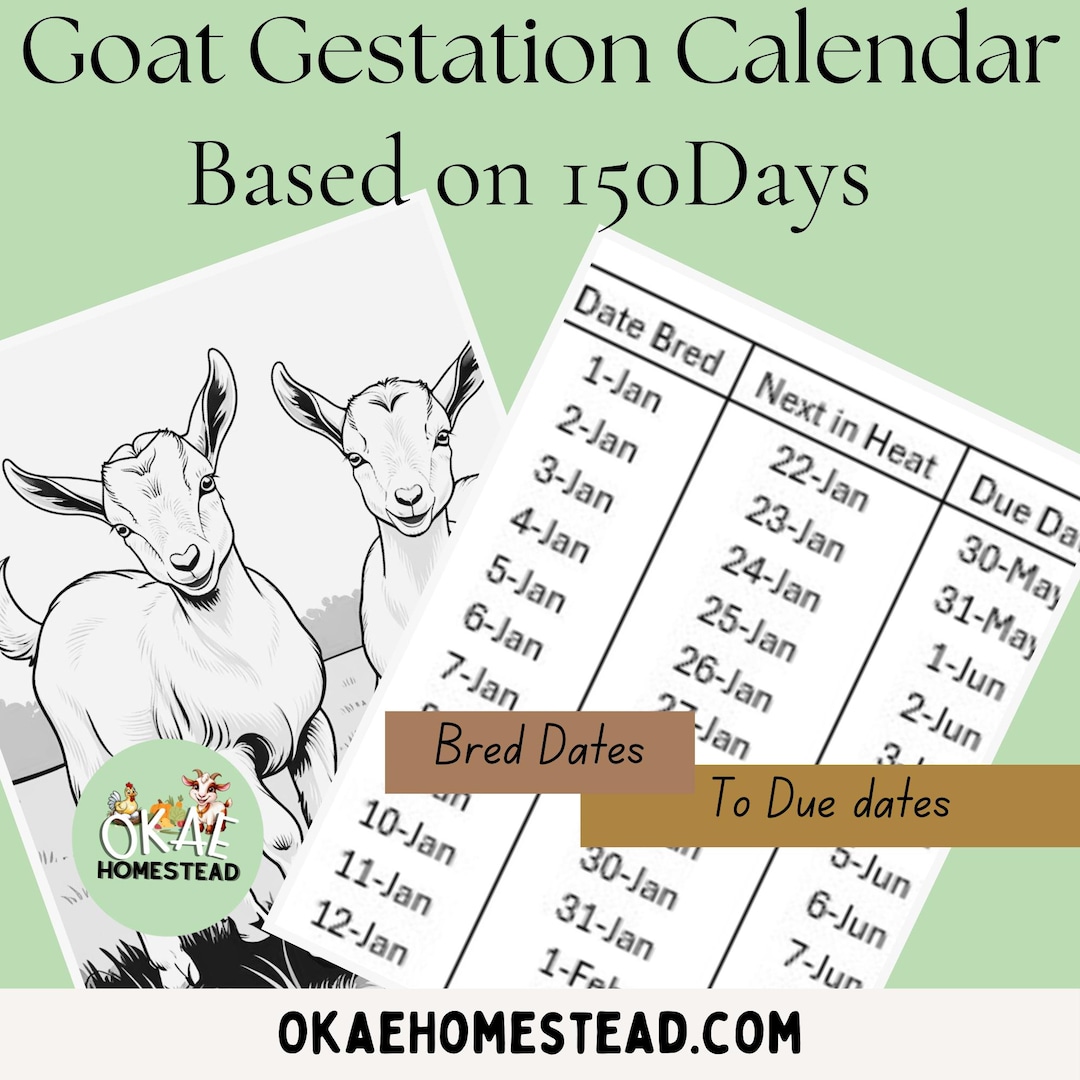 Goat Gestation Calendar - 150 Days - Printable - PDF - Digital Download- Goat Herd Management - Etsy