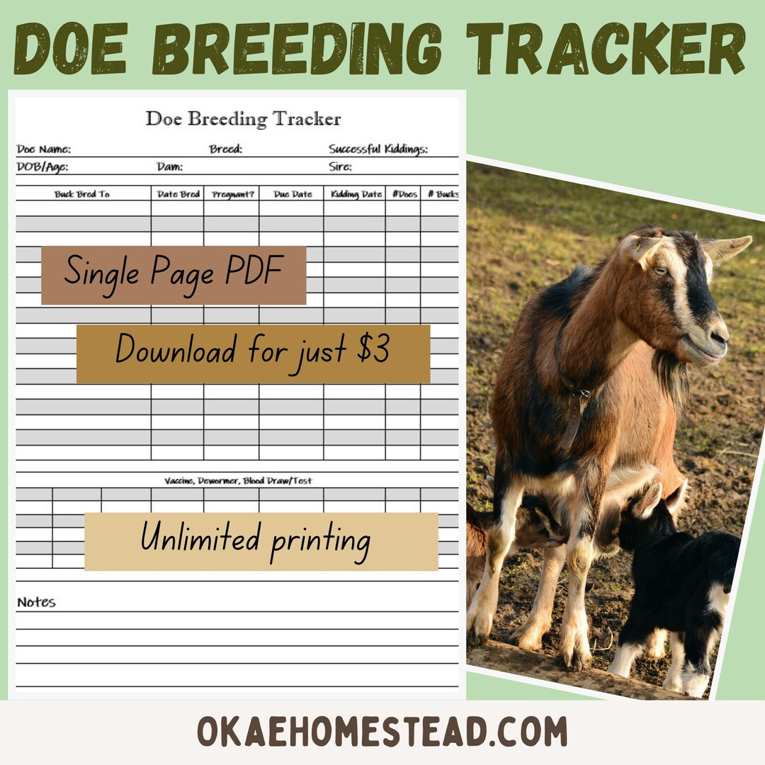 Doe Breeding Tracker Page - Digital Download - PDF- Printable - Herd ...