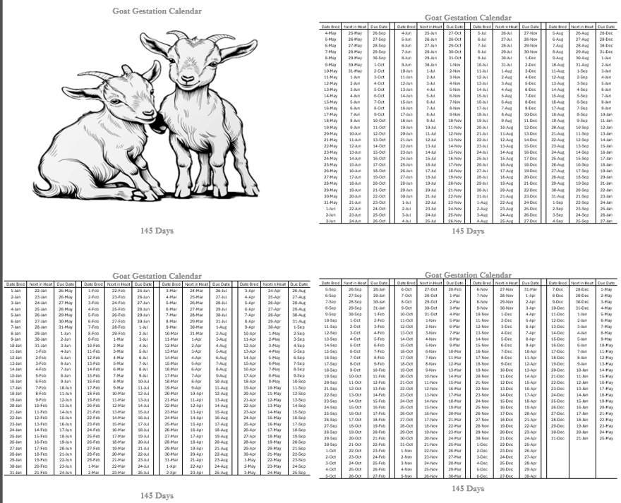 Printable Bundle - Goat Breeding Planner & 145 Day Gestation Calendar ...