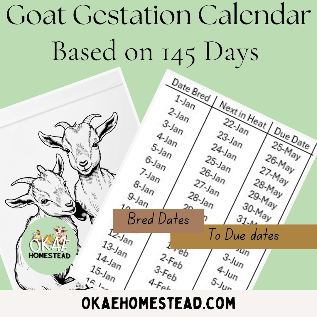 Printable Goat Gestation Calendar 145 Days Digital Download Goat Herd Management - Etsy