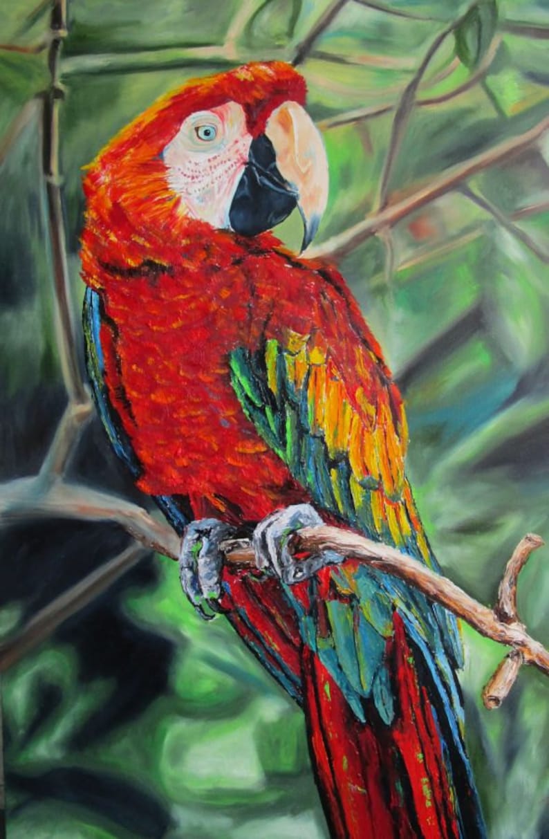 Large Original Oil Painting Scarlet Macaw Parrot Large 24" X 36" - Etsy