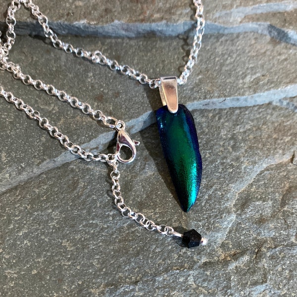 Jewel Beetle Wings - Etsy