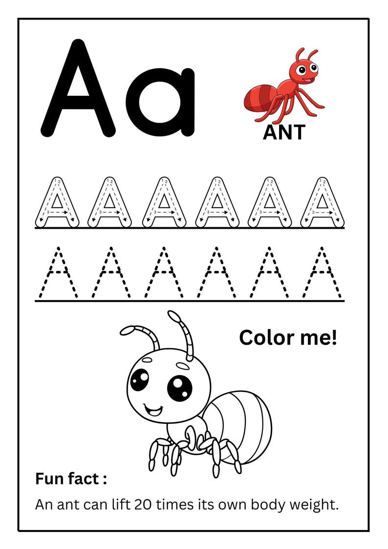 Animal Alphabet Adventure Workbook Fun Learning for Curious Little ...