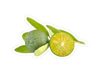 Sun Sticker Filipino Pinterest Aesthetic Sticker for Laptop Decal ...