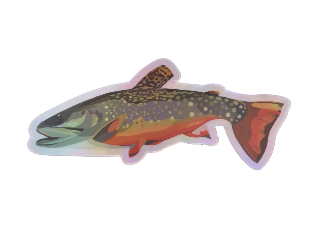 Fly Fishing Sticker | Trout Sticker | Brook Trout Sticker | Fishing ...