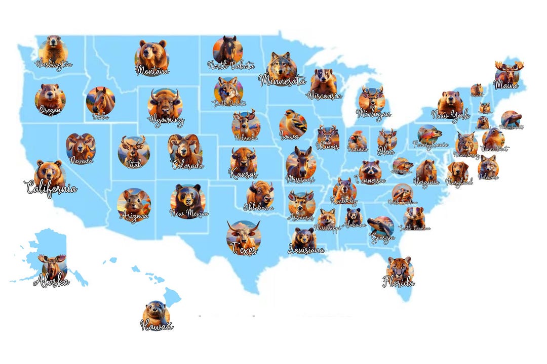 50 State Animals - Etsy