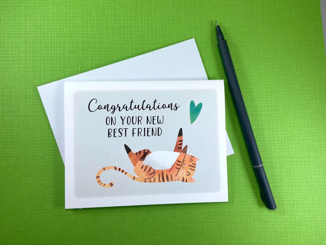 New Cat Card, Congratulations on Your New Best Friend, New Kitten Kitty ...