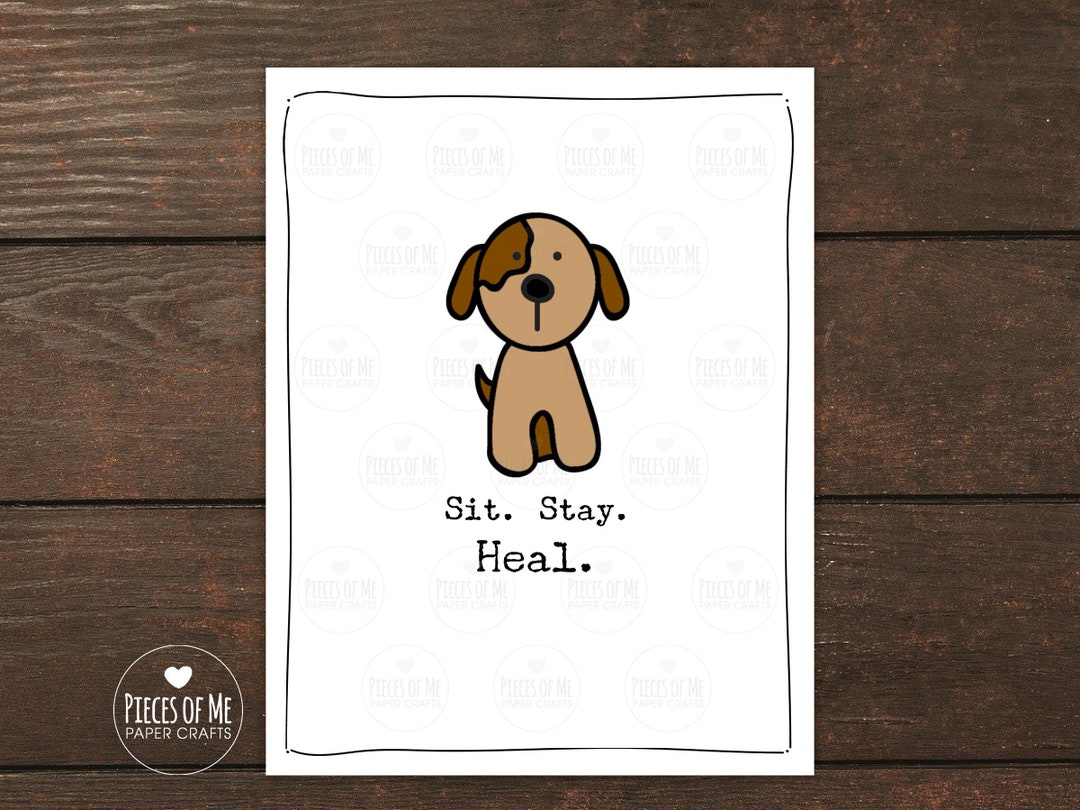 Dog Get Well Soon Card, Sit Stay Heal, Funny, Puppy Get Well, Thinking ...