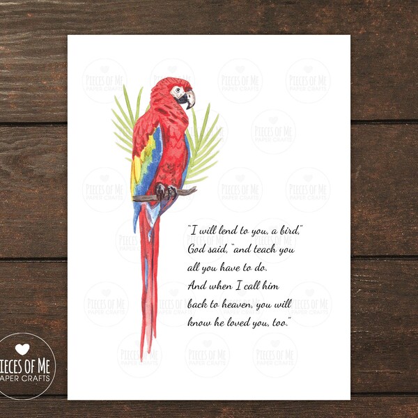 Loss of Birds Card - Etsy