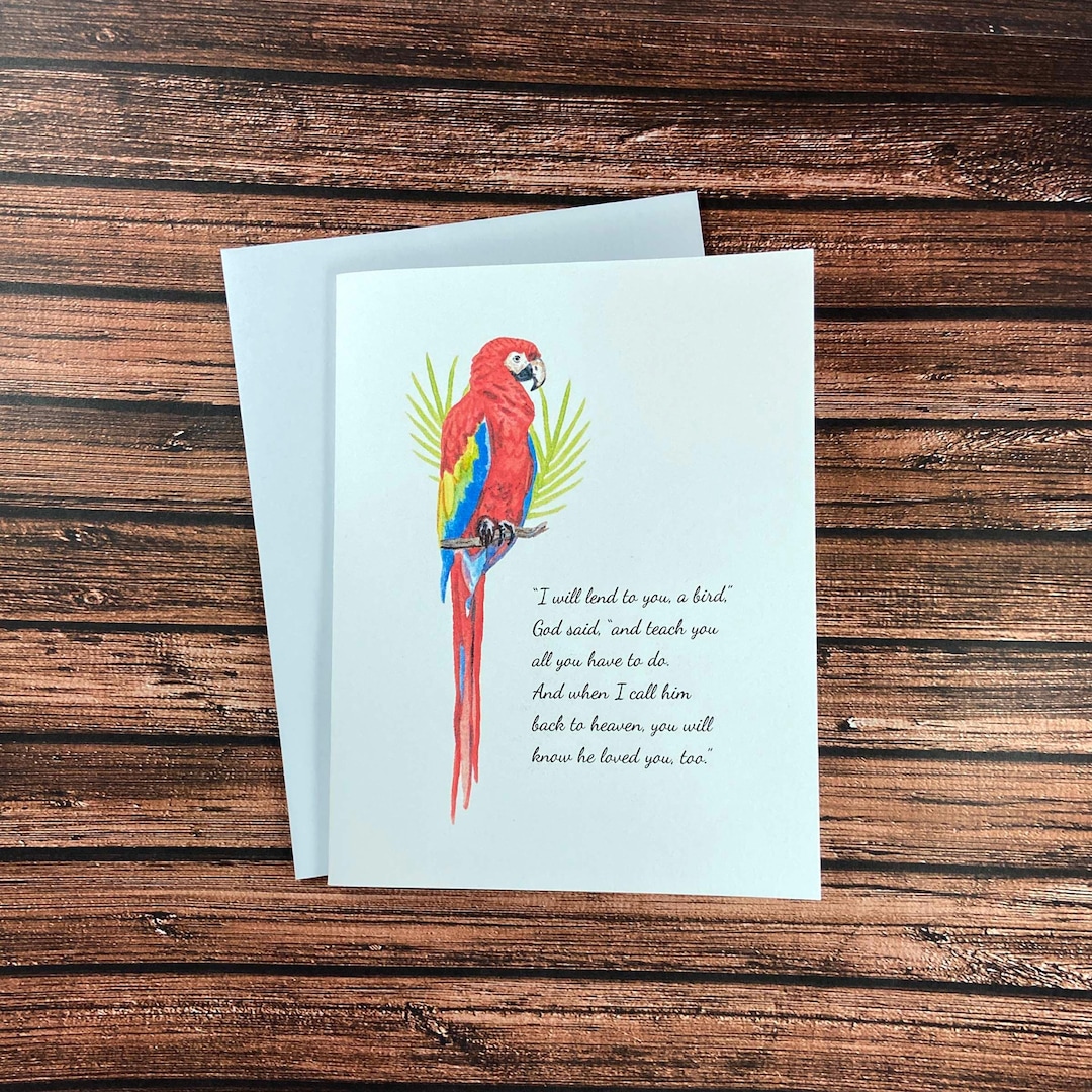 Bird Sympathy Card, Parrot, Scarlet Macaw, Condolence, Bereavement ...